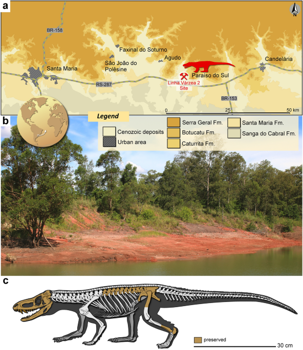 A new small-sized predatory pseudosuchian archosaur from the Middle ...