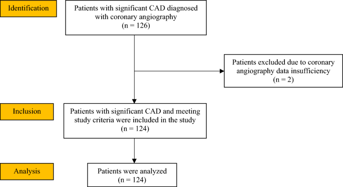 Correlation between controlled attenuation parameter values with SYNTAX ...