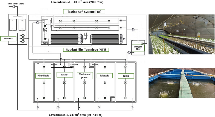 Optimizing nutrient utilization, hydraulic loading rate, and feed ...