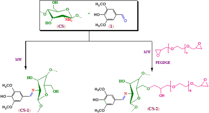 Fabrication and characterization of unique sustain modified chitosan ...