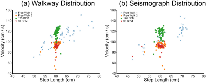 Unobtrusive measurement of gait parameters using seismographs: An ...