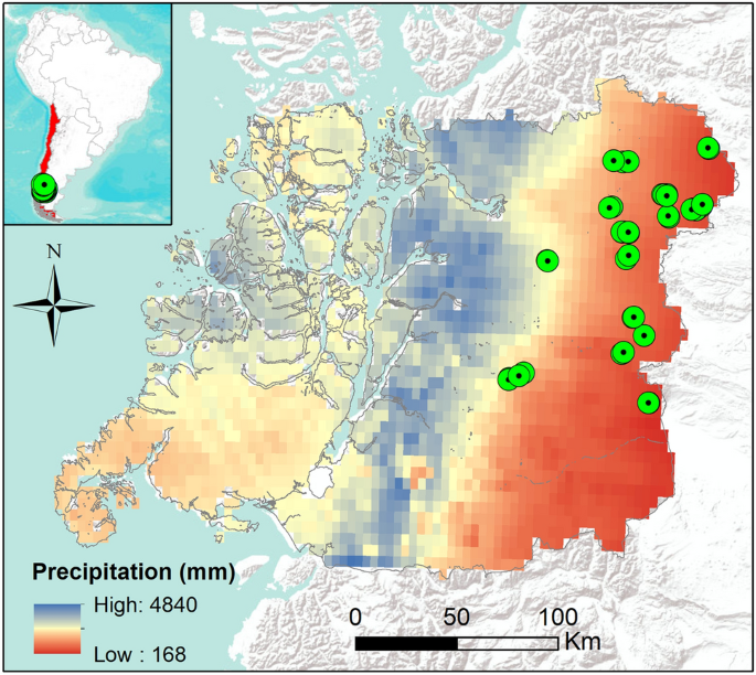 Increase in forest structural complexity along a precipitation gradient ...