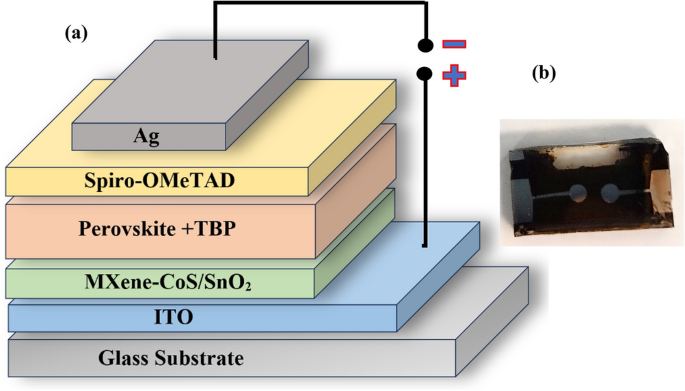 MXene-based novel nanocomposites doped SnO2 for boosting the ...