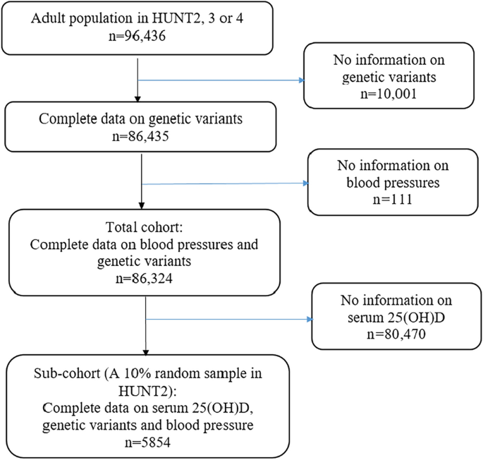 Serum vitamin D, blood pressure and hypertension risk in the HUNT study ...