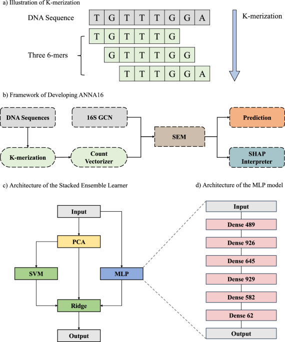 Deep learning for predicting 16S rRNA gene copy number | Scientific Reports