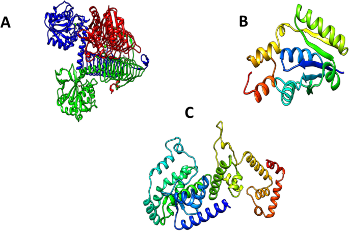 Integration of molecular docking and molecular dynamics simulations with subtractive proteomics ...