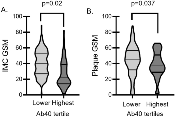 Amyloid beta is associated with carotid wall echolucency and ...