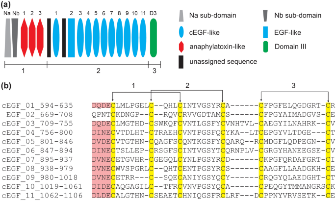 Biophysical and structural studies of fibulin-2 | Scientific Reports