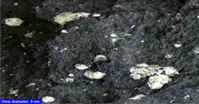 Adsorption characteristics and applications of andesite in removing ...