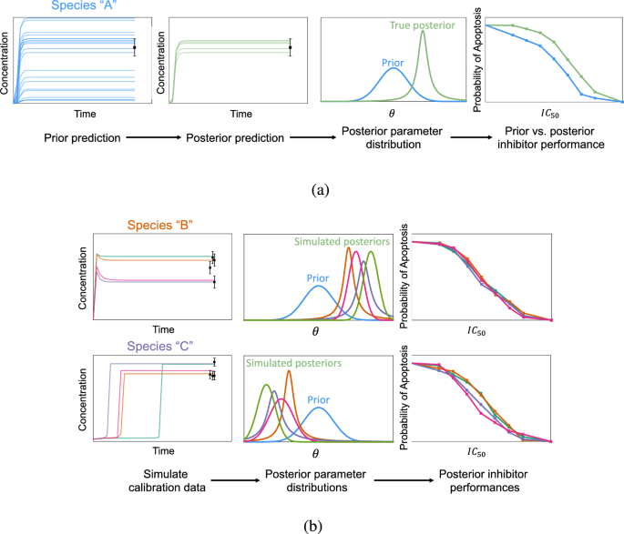 Identifying Bayesian optimal experiments for uncertain biochemical pathway models | Scientific ...
