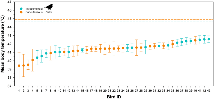 An arctic breeding songbird overheats during intense activity even at ...