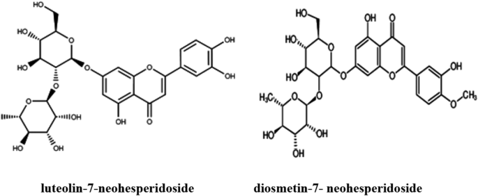 Verbena officinalis (VO) leaf extract as an anti-corrosion inhibitor ...