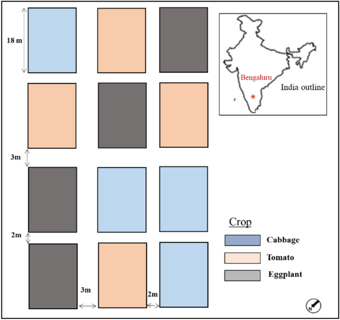 Deep learning-based prediction of plant height and crown area of ...