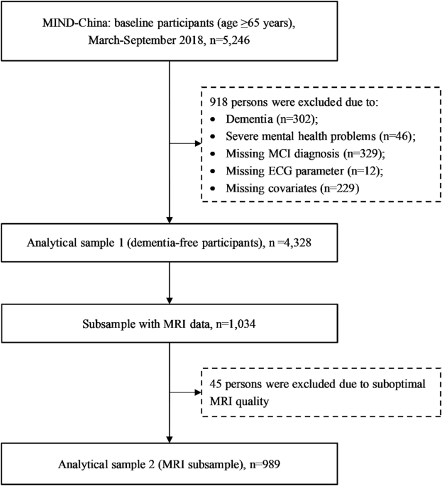 Prolonged ventricular repolarization associated with mild cognitive impairment and white matter ...