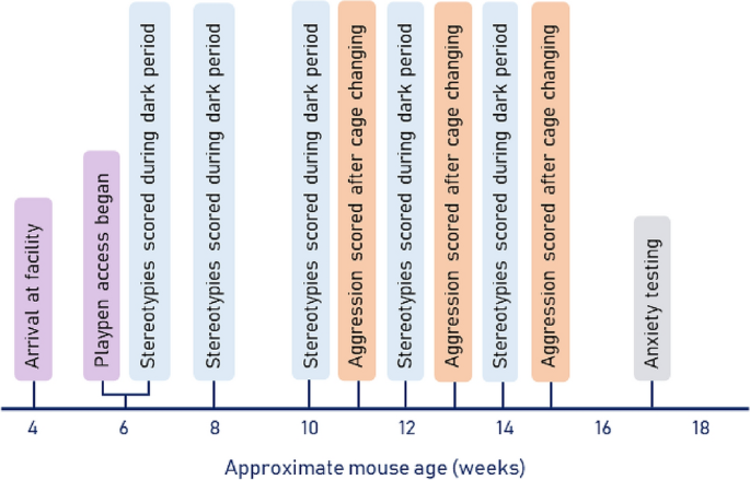 Effects of temporary access to environmental enrichment on measures of ...