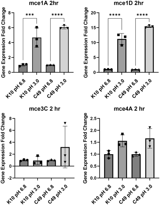 The role of Mce proteins in Mycobacterium avium paratuberculosis infection | Scientific Reports