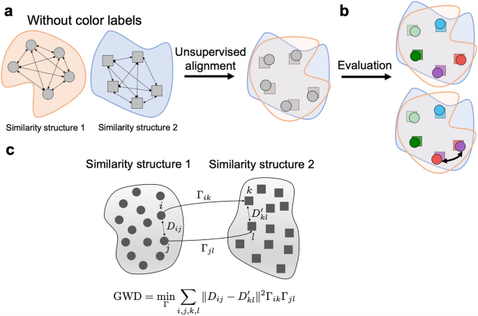 Gromov–Wasserstein unsupervised alignment reveals structural correspondences between the color ...