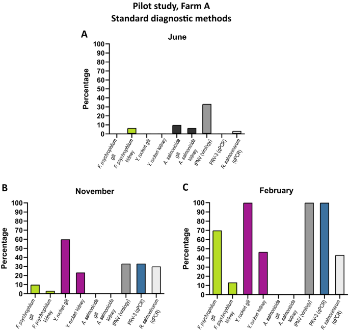 A novel high-throughput qPCR chip for solving co-infections in RAS ...