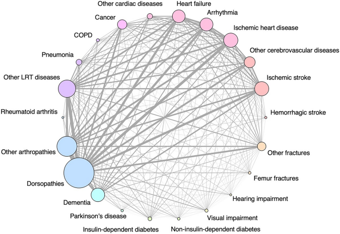 Clinical subtypes of older adults starting long-term care in Japan and ...