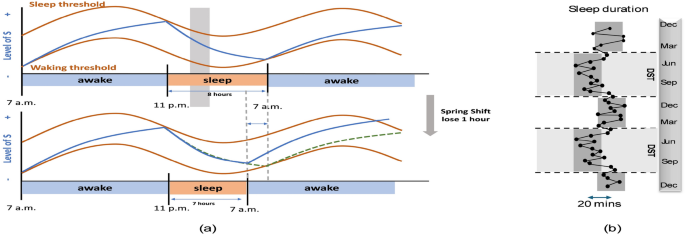 Improving adjustment to daylight saving time transitions with light ...
