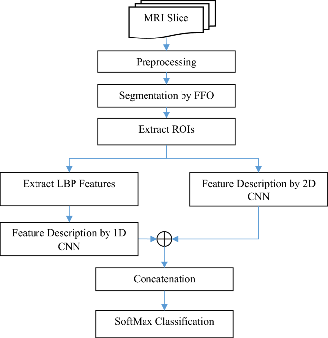 Classification of brain tumor types through MRIs using parallel CNNs and firefly optimization ...