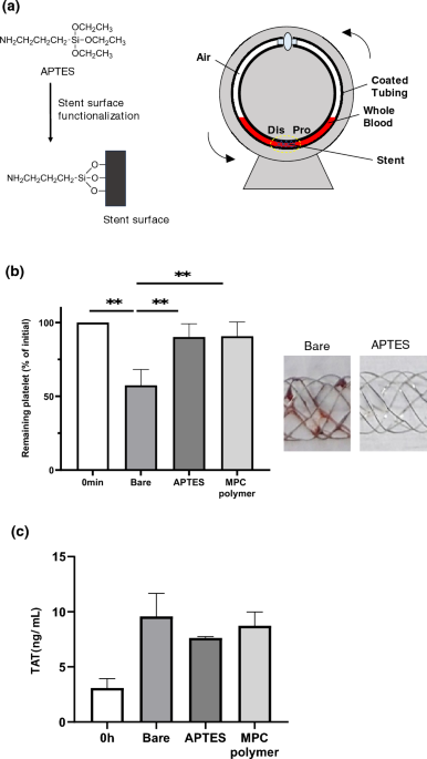 Stent coating containing a charged silane coupling agent that regulates ...