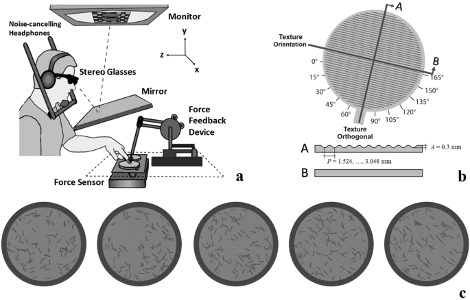 Humans flexibly use visual priors to optimize their haptic exploratory ...