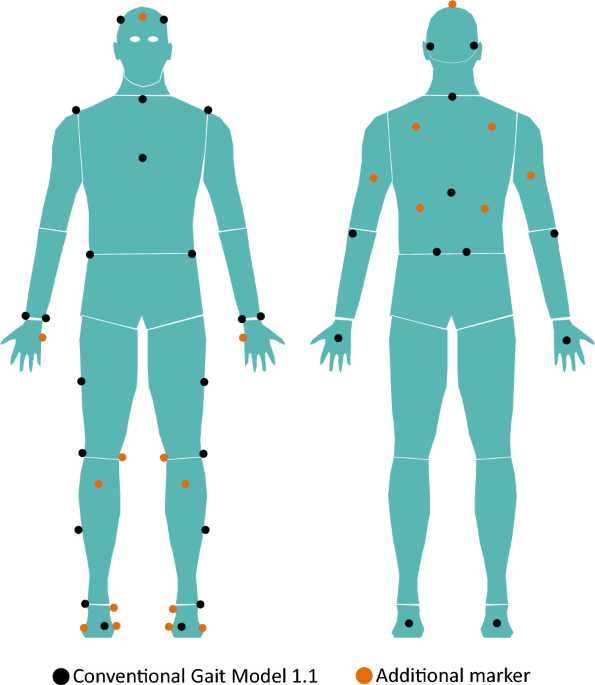 Understanding the flexion-relaxation phenomenon in non-specific chronic ...