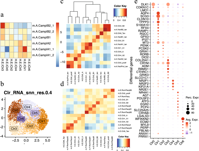 A single-cell transcriptomic study of heterogeneity in human embryonic ...
