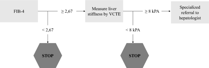 Early screening for chronic liver disease: impact of a FIB-4 first ...