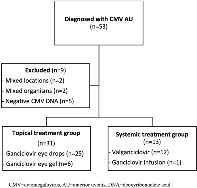 Treatment outcomes in cytomegalovirus anterior uveitis | Scientific Reports