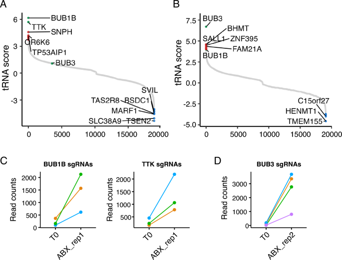 A whole-genome CRISPR screen identifies the spindle accessory ...