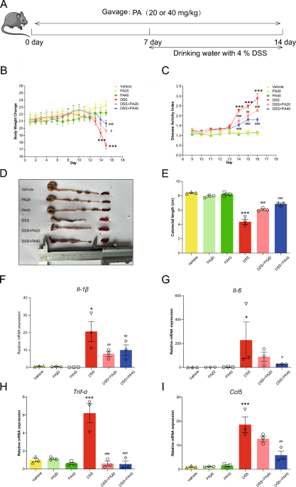Protective effects of patchouli alcohol against DSS-induced ulcerative ...