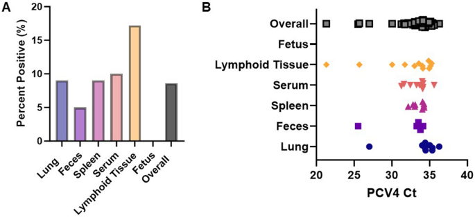 First detection of PCV4 in swine in the United States: codetection with ...