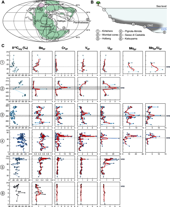 Unveiling a new oceanic anoxic event at the Norian/Rhaetian boundary ...