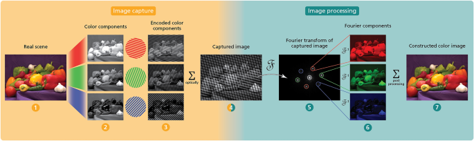 A light-efficient and versatile multiplexing method for snapshot ...