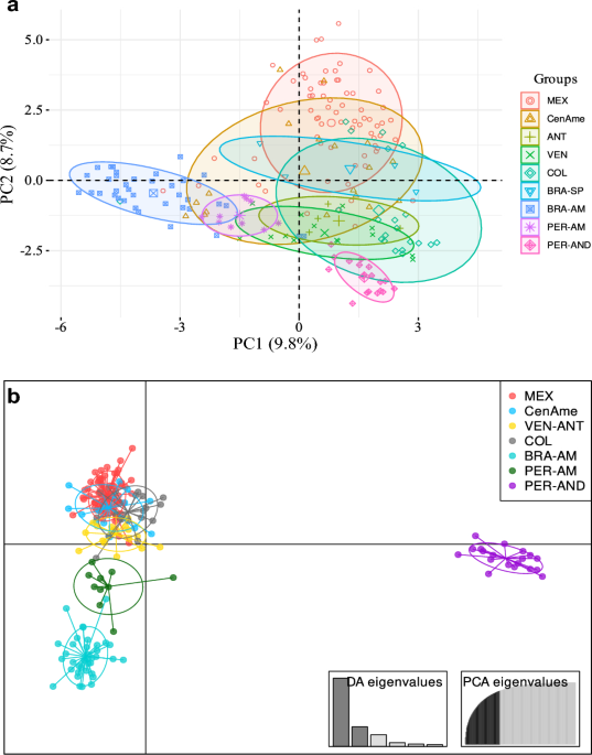 Genetic analyses and dispersal patterns unveil the Amazonian origin of ...