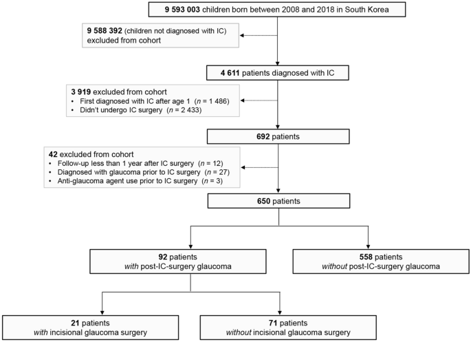 Nationwide incidence of and risk factors for undergoing incisional ...
