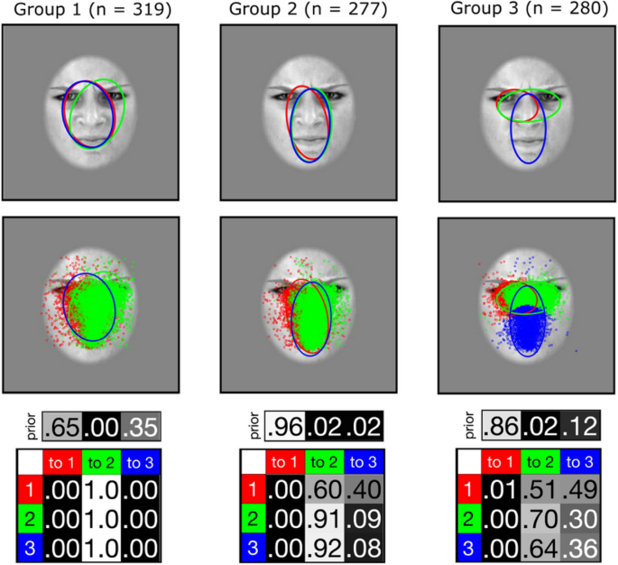 Idiosyncratic fixation patterns generalize across dynamic and static facial expression ...