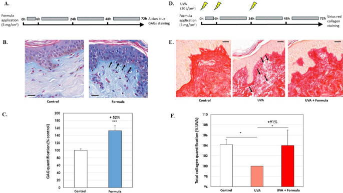 Senomorphic activity of a combination of niacinamide and hyaluronic ...