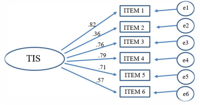 Validation of the Hungarian version of the 6-item turnover intention scale among elderly care ...