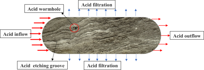 Quantitative evaluation of acid flow behavior in fractures and ...