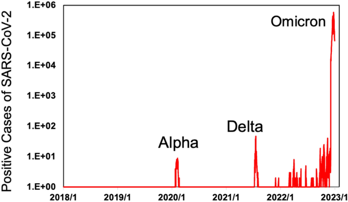 The effect of quarantine policy on pollution emission and the usage of ...