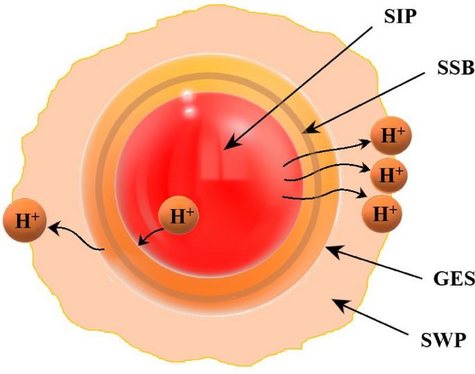 Effects of negative ions on equilibrium solar plasmas in the fabric of ...
