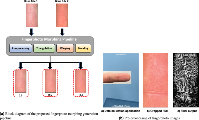 Fingerphoto morphing attack generation using texture descriptors based ...