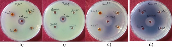Exploring rose absolute and phenylethyl alcohol as novel quorum sensing inhibitors in ...