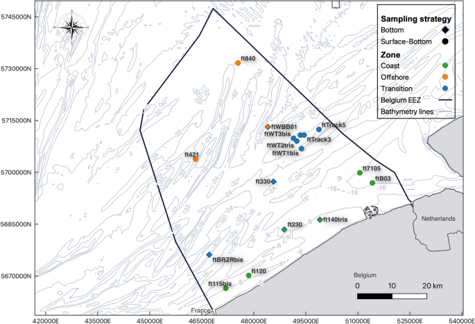 Vertical and horizontal environmental DNA (eDNA) patterns of fish in a ...