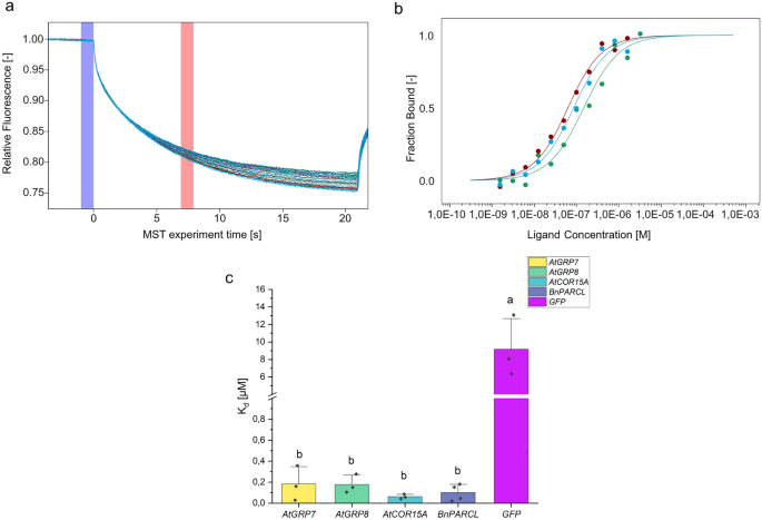The glycine-rich domain of GRP7 plays a crucial role in binding long ...