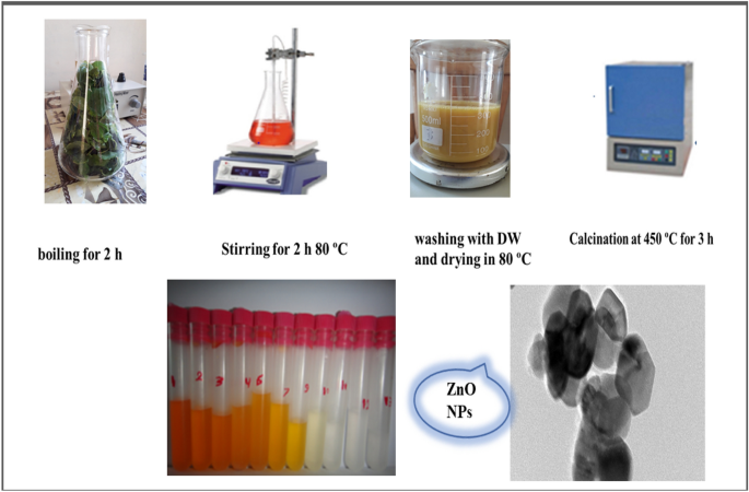 Enhanced photocatalytic activity of green synthesized zinc oxide nanoparticles using low-cost ...