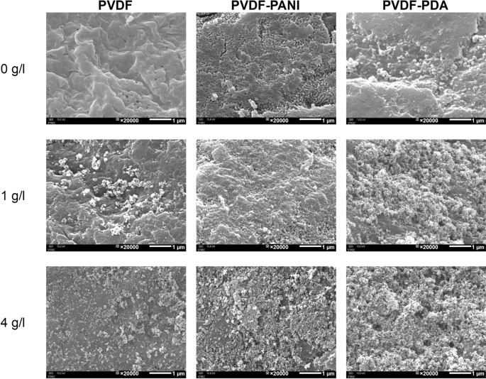 Empowering TiO2–coated PVDF membranes stability with polyaniline and ...